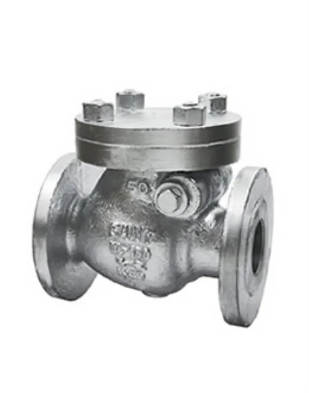 Sant Cast Steel IBR Horizontal Check Valve Class 300,SANT-CS8A25,
